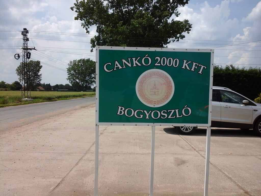 Hayvancılık Cankó 2000 Kft, Dünya, foto