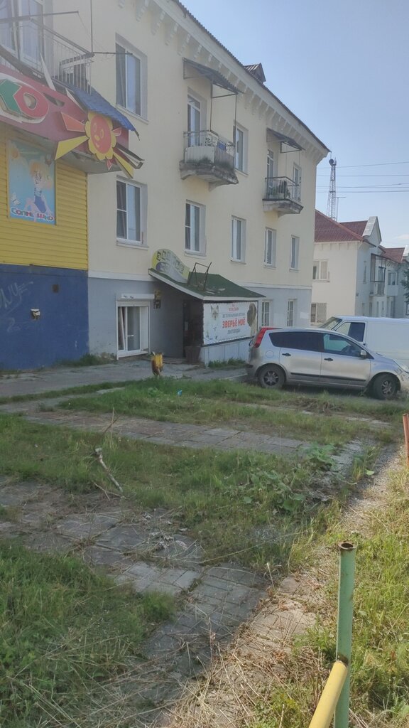 Petshop Zverye moe, Karpinsk, foto
