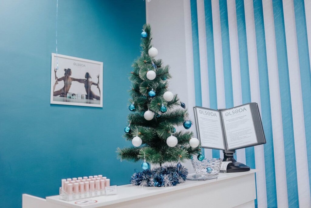 Kozmetik ve parfümeri firmaları Elseda Professional, Moskova, foto