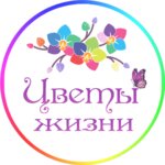 Flowers of life (Stakhanovskaya ulitsa No:1), anaokulları  Krasnodar'dan