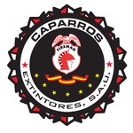 Caparrós Extintores (Calle Irún No:7, Municipios Madrid), yangın ekipmanları  Madrid'den