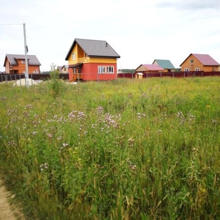 Arazi dizisi Dachnaya Zemlya 33, Petuşki, foto