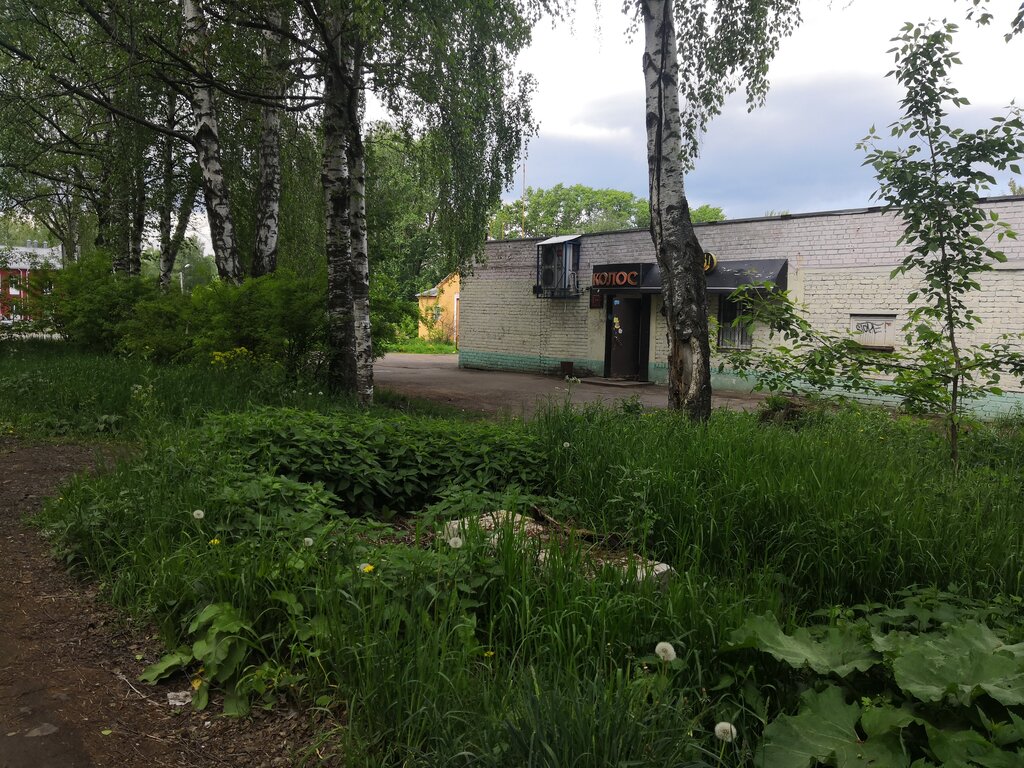 Market Kolos, Rybinsk, foto