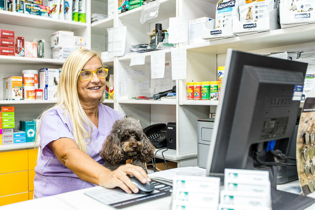 Veteriner klinikleri Dispensari Veterinari Del Vallés, , foto