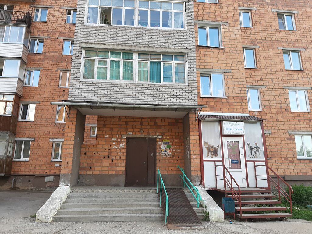 Evcil hayvan kuaförleri Сами с усами, Divnogorsk, foto