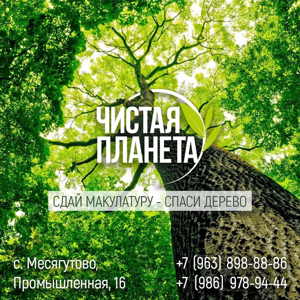 Geri dönüşüm maddeleri Clean Planets, Başkurdistan, foto