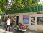 Цветочный базар (улица Богданова No:24), çiçek pazarı  Sevastopol'dan