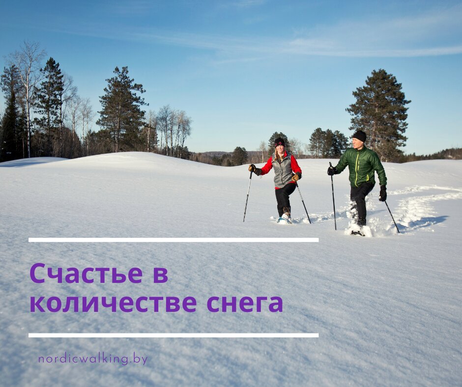 Sağlık merkezleri Nordic walking center, Minskaya oblastı, foto