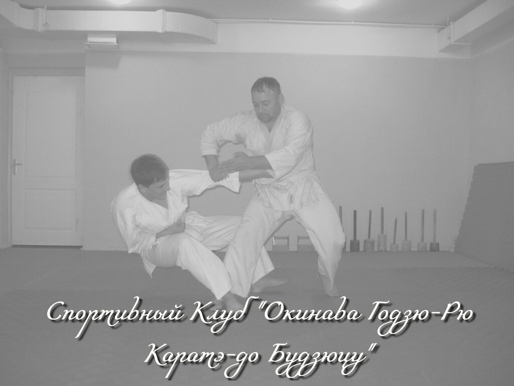 Spor kulüpleri Broovo Sk Godzuru Karate-do, Borisoglebsk, foto