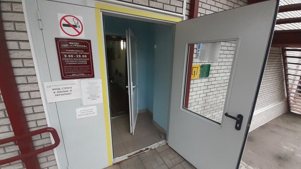 Çocuk ve gençlik merkezleri ЦДТ Стрекоза, Riazan, foto