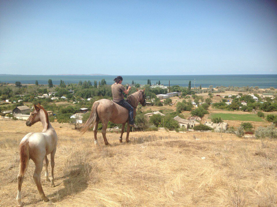At ve binicilik kulüpleri Конный дворик Азовский, Kırım Cumhuriyeti, foto