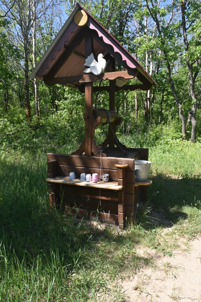 Doğa Шулаевские леса, Orenburgskaya oblastı, foto