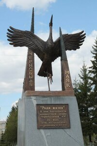 Жертвам радиационных катастроф Ради жизни (Kurgan Region, Shadrinsk, skver 50 let okhrany prirody), anıt, heykel  Şadrinsk'ten
