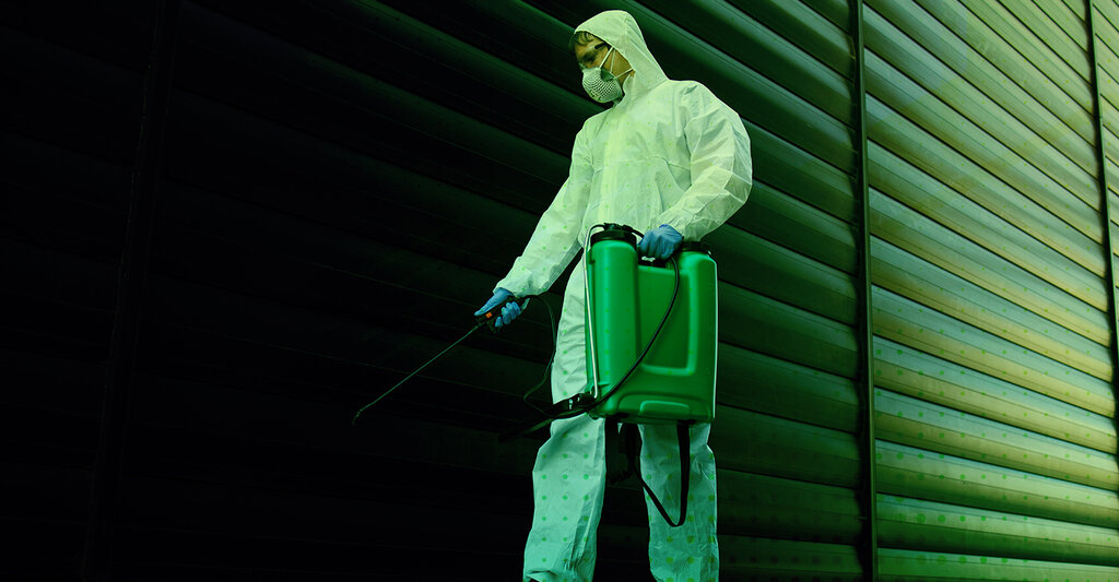 Haşere ilaçlama firmaları Tsentr gigiyeny i ekspertizy, Novosibirsk, foto