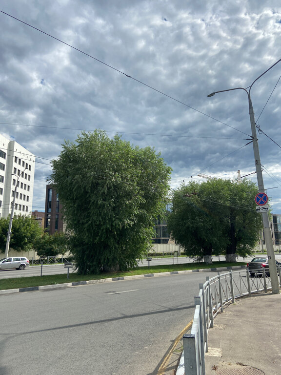 Doğa Столетние вязы, Vladimir, foto