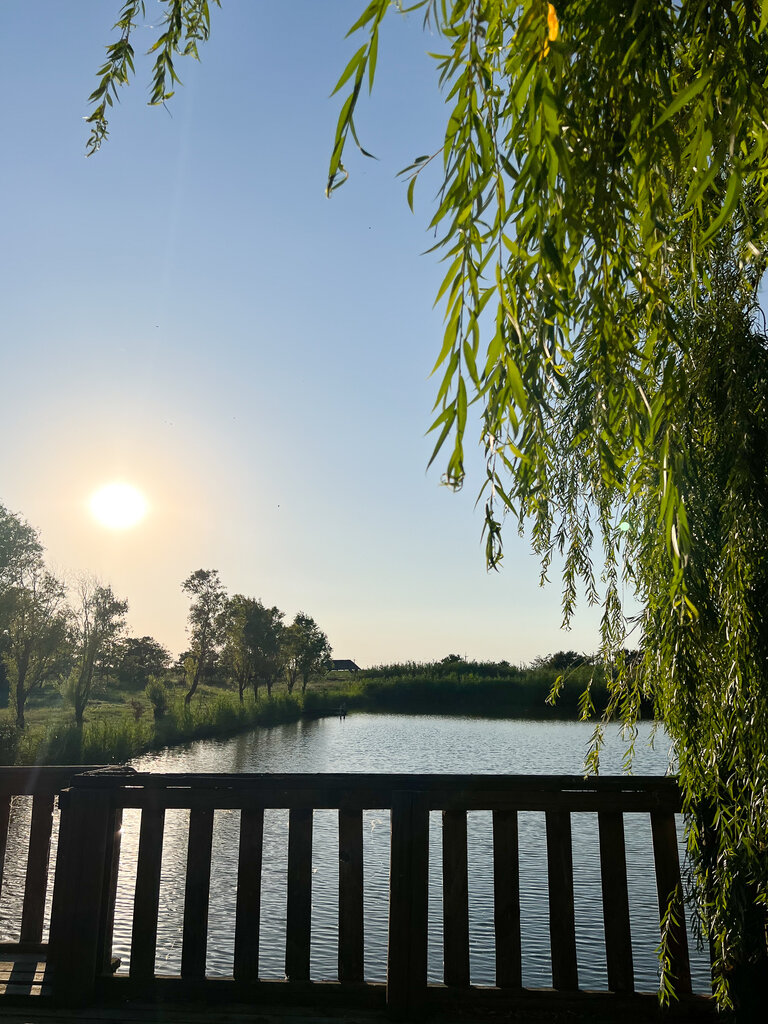 Tatil köyleri Jummy Club, Krasnodarski krayı, foto