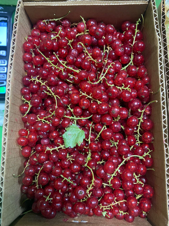 Market Овощи Фрукты, Moskova, foto