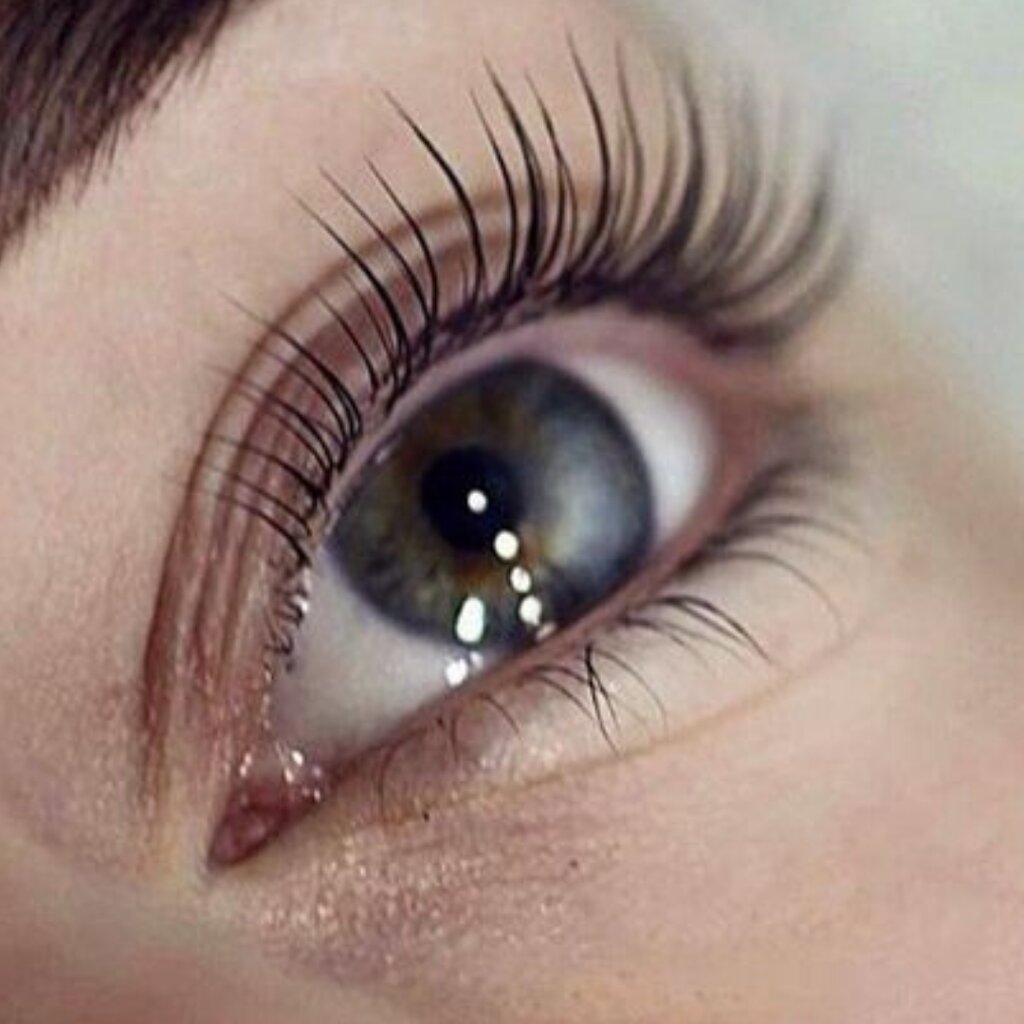 Güzellik salonu Студия ламинирования ресниц и оформления бровей, Arhangelsk, foto