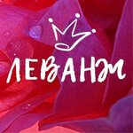 Levange (Nasedkina Street No:10А), spor giyim ve ayakkabı  Cherepovets'ten