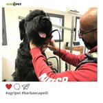 Agripet Acireale (Via Saru Spina No:6, Acireale), kozmetik ve parfümeri mağazaları
