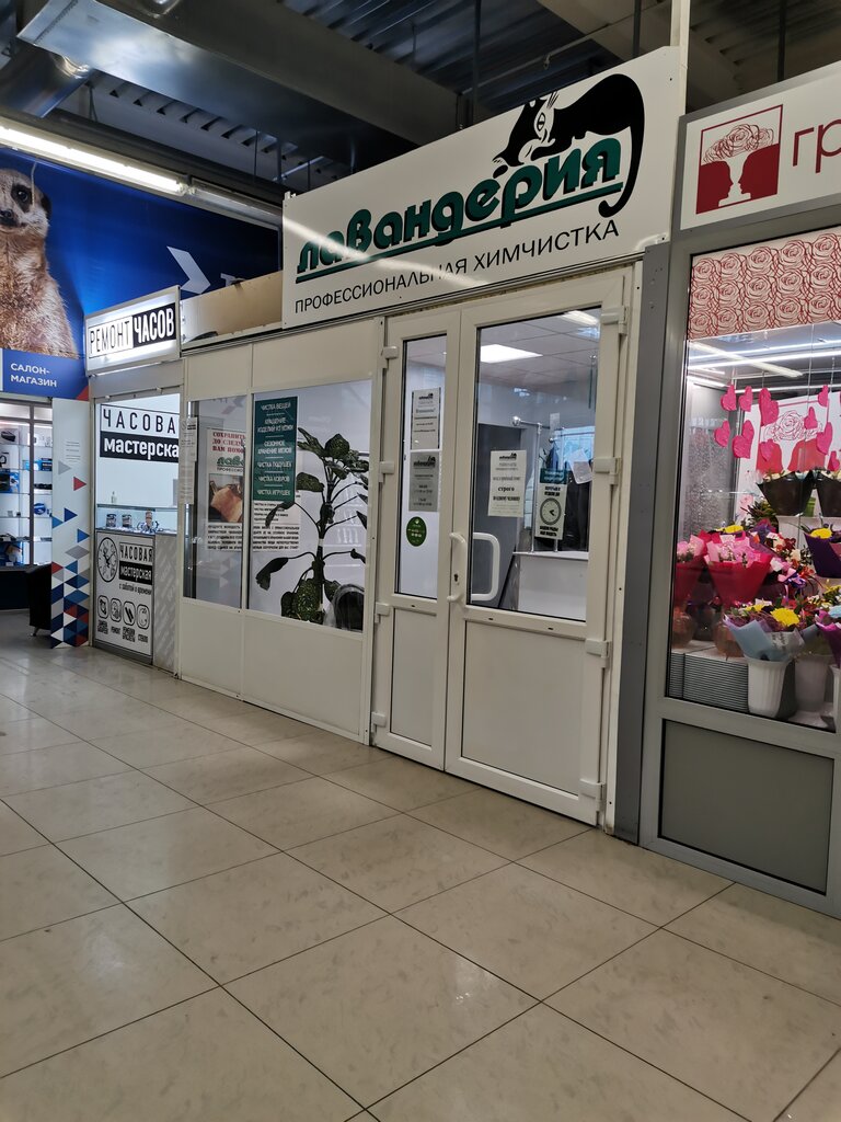 Kuru temizlemeciler Lavanderia, Arhangelsk, foto