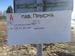 Pavarot na Prysna (Magiliowskaja voblasc, Н-11010), toplu taşıma durağı  Mogiliovskaya oblastından