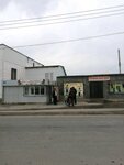 Vegetables Fruits (Baizak Prmanov street No:114), toptan sebze ve meyve satışı  Taraz'dan