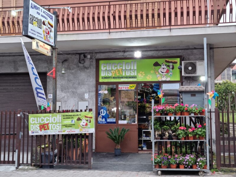 Tarım makineleri, ekipmanlar Cuccioli Dispettosi, Sicilya, foto