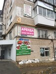 Свежее мясо (ulitsa 50 let VLKSM No:31), kasap, şarküteri  Satka'dan