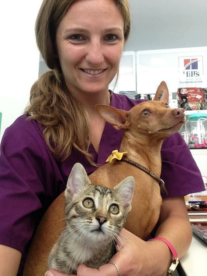 Veteriner klinikleri Clínica Veterinaria Babieca, Kantabria, foto