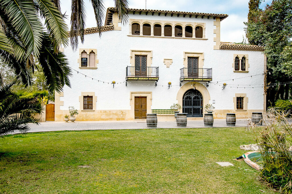 Şarap ve içki toptan satışları Cava Torreblanca, Katalonya, foto