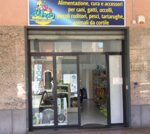 Pet Happy (Sicily, Catania, Riposto, Via Roma, 48), hayvancılık  Sicilya'dan