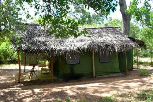 Otel Yala safari and Relax camping, , foto