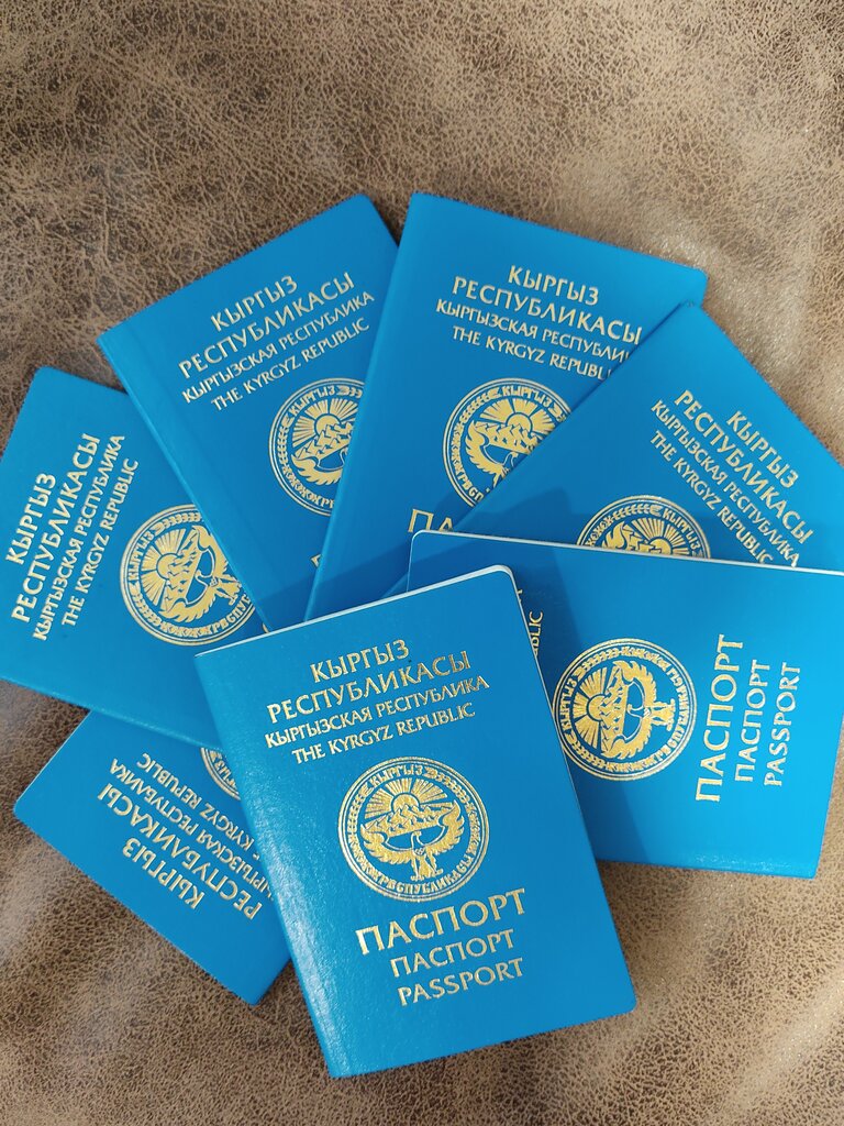 Pasaport ve vize işlemleri Online Translation Agency, Voronej, foto