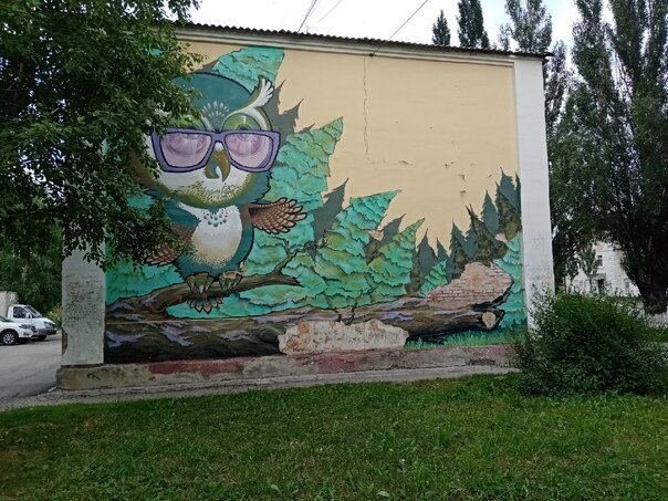 Sokak sanatı Сова в очках, Kemerovo, foto