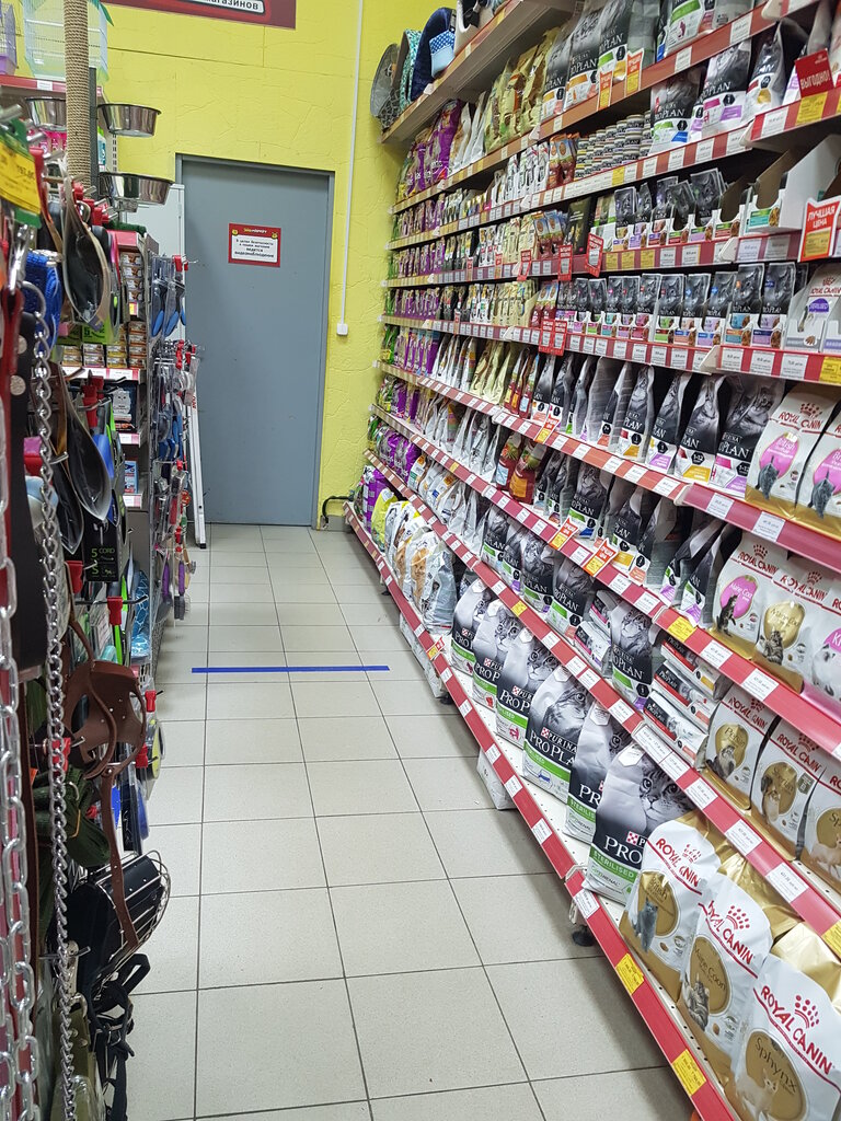 Petshop Зоомаркет, Moskova, foto