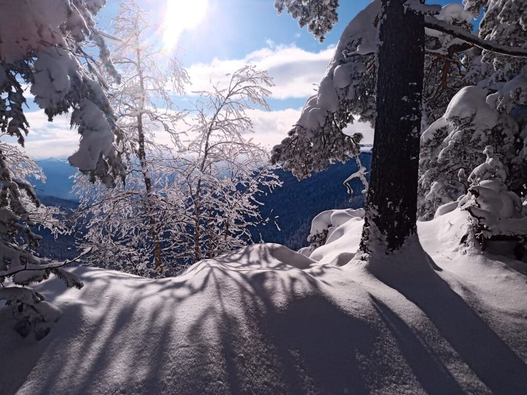 Bisiklet kiralama Welcome, Krasnodarski krayı, foto