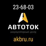 Avtotok (Sovkhoznaya Street No:15И), akümülatör ve şarj cihazları  Penza'dan