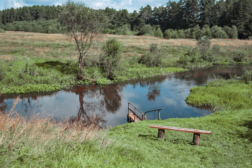 Arazi dizisi Olbovo Lesnoe, Tverskaya oblastı, foto