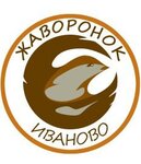 Жаворонок (Krasnogvardeyskaya Street No:5), sahne sanatları okulu  İvanovo'dan