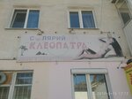 Parikmakherskaya Kleopatra (Zavodskoy pereulok No:2), solaryumlar  Artiomovski'den