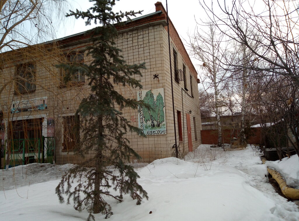 Orman işleri Novotroitsky leskhoz, Novotroitsk, foto