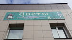 Цветы (Kirov Region, Zuyevka town), çiçekçiler  Zuevka'dan