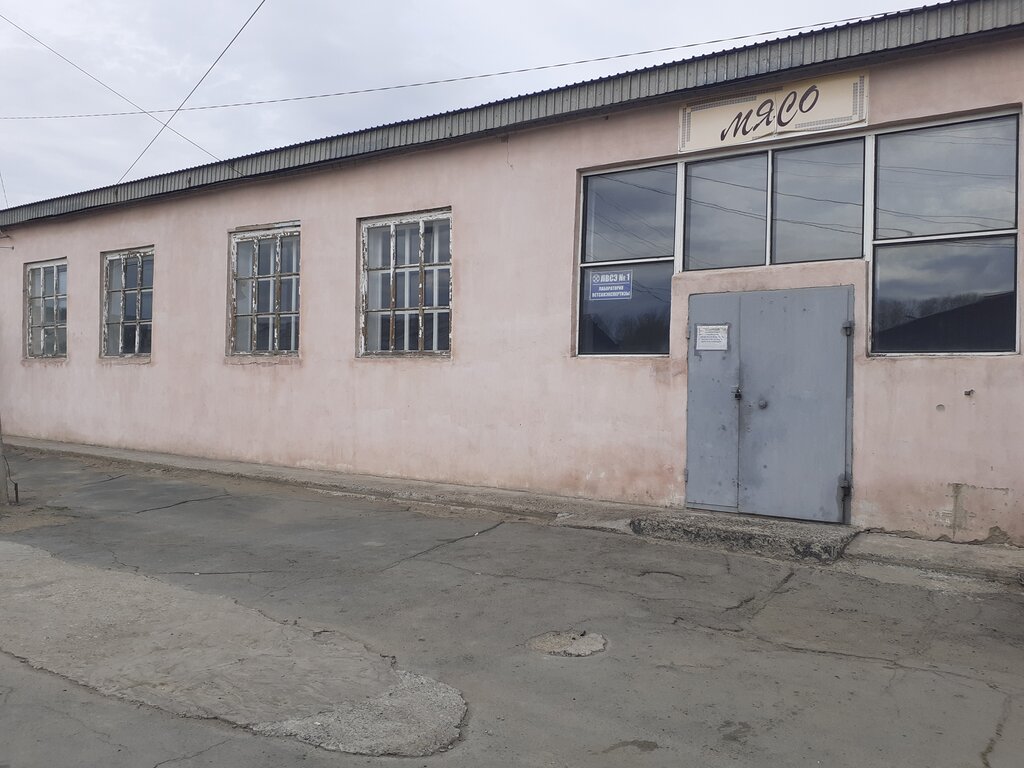 Kasap, şarküteri Мясо, Orsk, foto