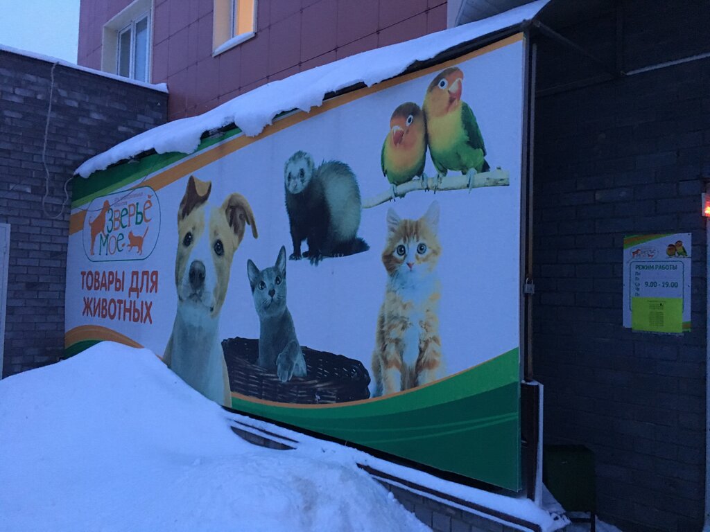 Petshop Zverye moye, Kirov, foto