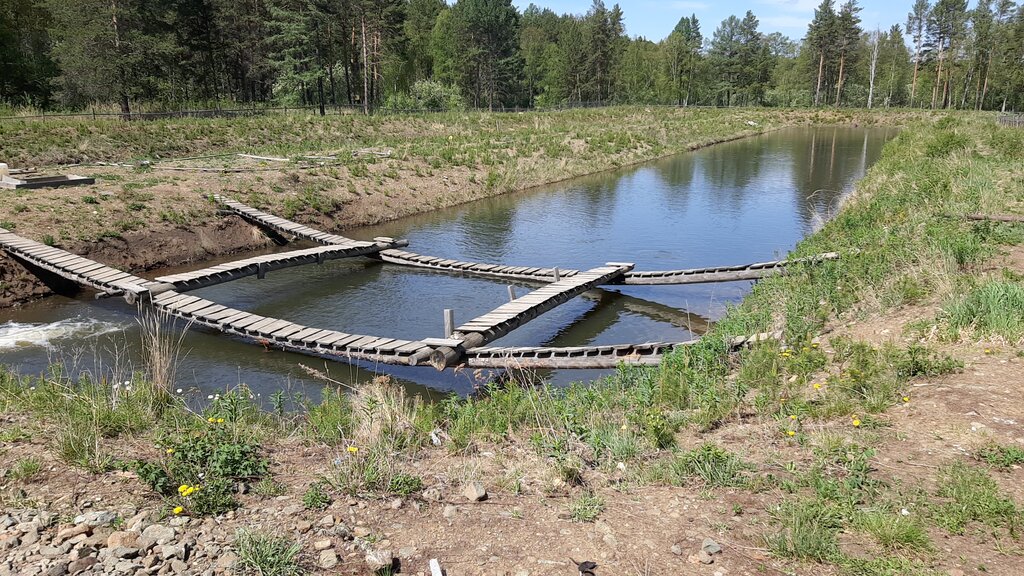 Balık çiftçiliği ve toptancıları Форелевое хозяйство, Başkurdistan, foto