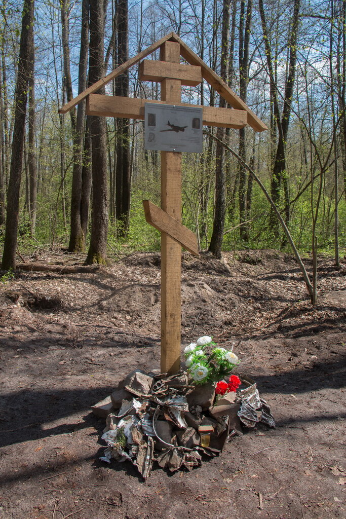 Unutulmaz olayların yeri Место гибели бомбардировщика ДБ-3А 1941 год, Brianskaya oblastı, foto