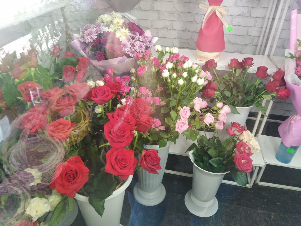 Çiçekçiler Cveti mira, Alekseyevka, foto