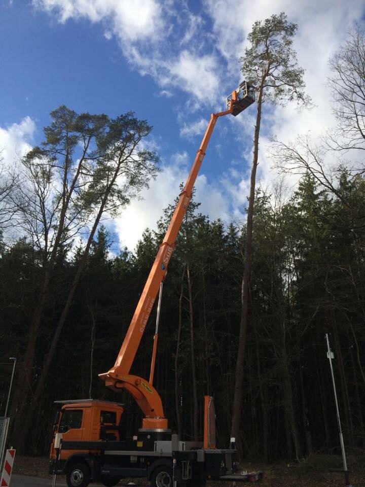 Elektronik ofis ekipmanları tamiri Hausmeisterservice Steiner GmbH & Co. Kg, Schwandorf, foto