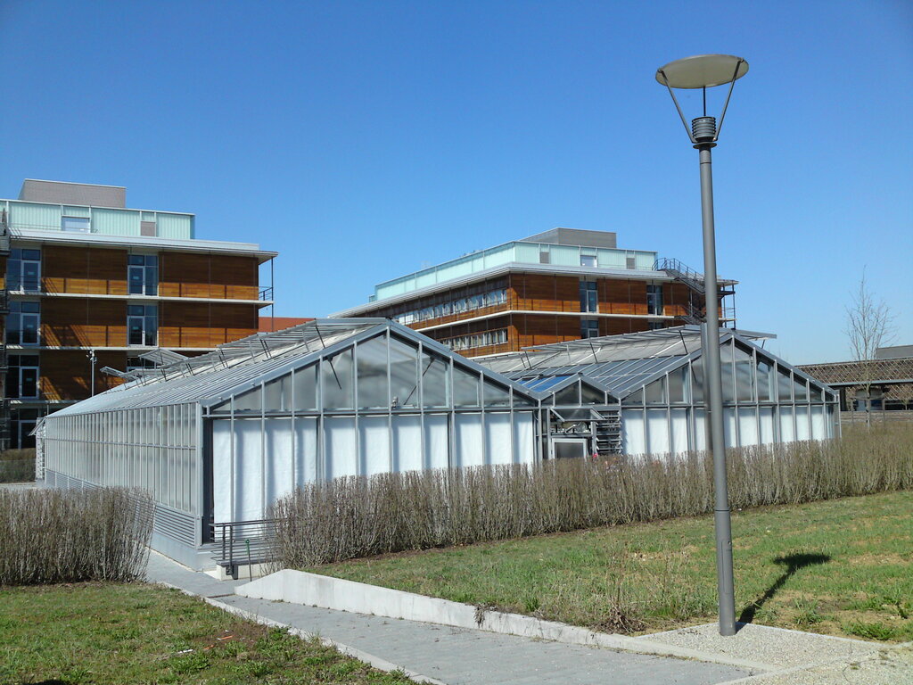 Sera ve bahçe ürünleri Gtd - Gewächshaustechnik Montage und Vertriebs GmbH, Dresden, foto